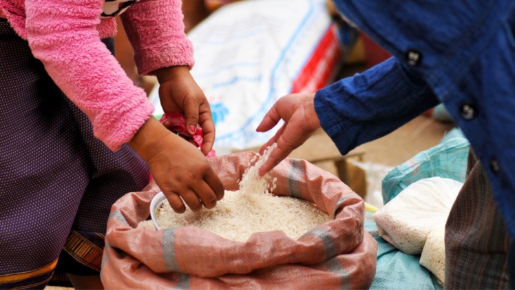 Exploring Ration Cards in India: Types and Advantages